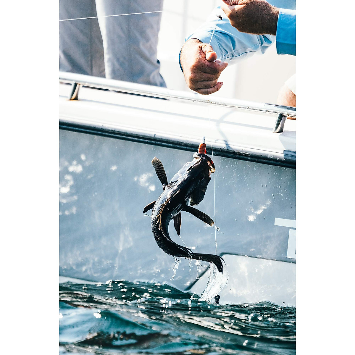 Berkley Gulp! Grub - GSG6-RDBS, Red Belly Shrimp