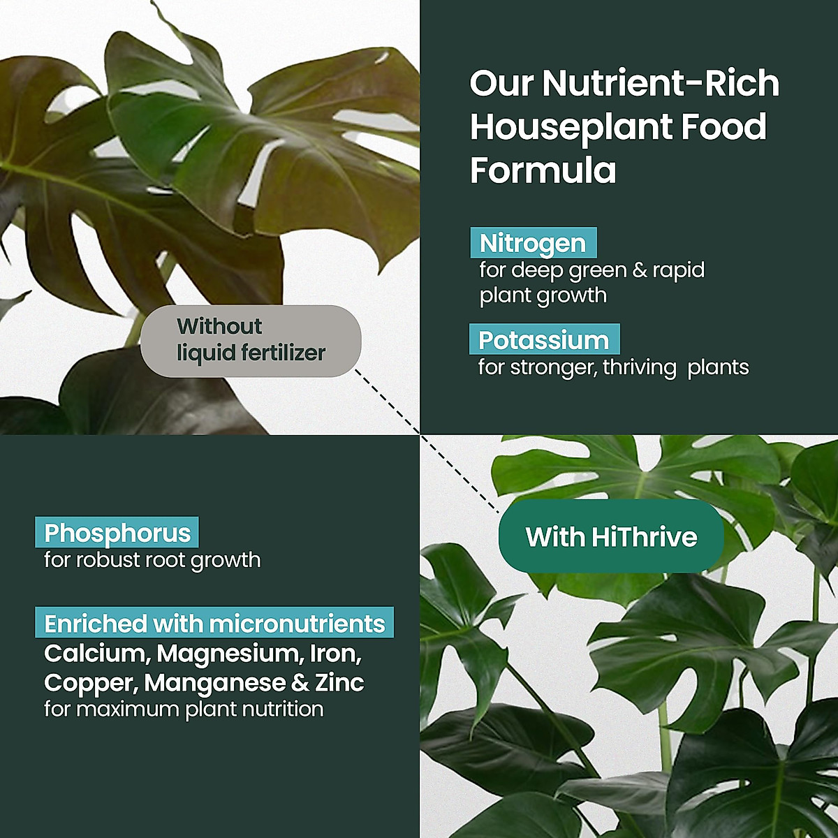 16oz Houseplant Fertilizer, All Purpose Indoor Plant Food - Makes 87+ Gallons, Indoor Plant Fertilizer for Fiddle Leaf Fig Tree, Pothos and More, 6-2-4 NPK, Concentrated Fertilizer for Indoor Plants