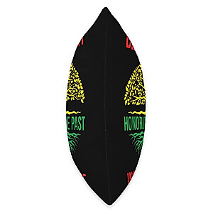 African Roots Pride Black History Month Honoring The Past Inspiring The Future BHM Black History Throw Pillow, 18x18, Multicolor