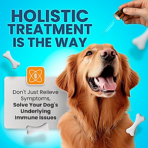 Natural Antibiotics for Dogs – Gentle, Effective Dog Antibiotic - Provides Dog Allergy Relief and Dog Itching Skin Relief - Premium Antibiotics for Dogs with Bacon Flavor