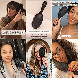 Kitsch Wet Hair Brush Detangling Brush - Soft Bristle Hair Brushes for Women | Straight & Curly Wet Dry Brush | Hairbrush Women for All Hair Types | Hair Detangler Brush | Travel Brush (Black, 1 Pc)