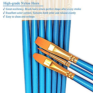 BOSOBO Paint Brushes Set, 2 Pack 20 Pcs Round Pointed Tip Paintbrushes Nylon Hair Artist Acrylic Paint Brushes for Acrylic Oil Watercolor, Face Nail Art, Miniature Detailing and Rock Painting, Blue