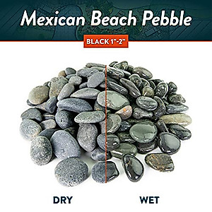 Mexican Beach Pebbles | 20 Pounds of Smooth Unpolished Stones | Hand-Picked, Premium Pebbles for Garden and Landscape Design | Black, 1 Inch - 2 Inch