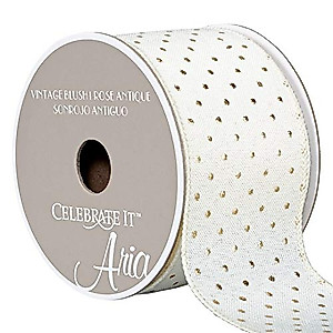 Celebrate IT- 2.5" Woven Wired Dotted Ribbon