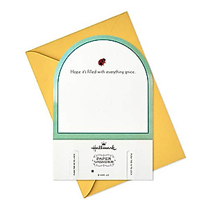 Hallmark Paper Wonder Displayable Pop Up Birthday Card (Gnomes), Model Number: 599RZW1020