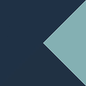 Maxi-Cosi Rodi Sport Booster Car Seat, Essential Blue