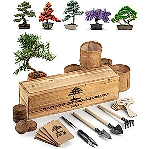 Bonsai Tree Kit – 5X Unique Japanese Bonzai Trees | Complete Indoor Starter Kit for Growing Plants with Bonsai Seeds, Tools & Planters – Gardening Gifts for Women & Men