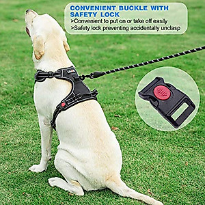 tobeDRI No Pull Dog Harness Adjustable Reflective Oxford Easy Control Medium Large Dog Harness with A Free Heavy Duty 5ft Dog Leash (L (Neck: 18"-25.5", Chest: 24.5"-33"), Blue Harness+Leash)