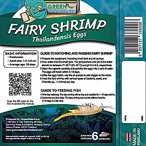GREEN WATER FARM Fairy Shrimp Thailandensis Eggs Live Fish Food for Hatching and Culture Suitable for Feed Betta Fish