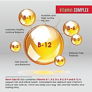 Pet Health Solutions Derm Tabs Extra Strength for Dogs - Natural Oil, Vitamins, Minerals, and Antioxidants - Support Healthy Skin and Reduce Shedding -60 Chewable Tablets