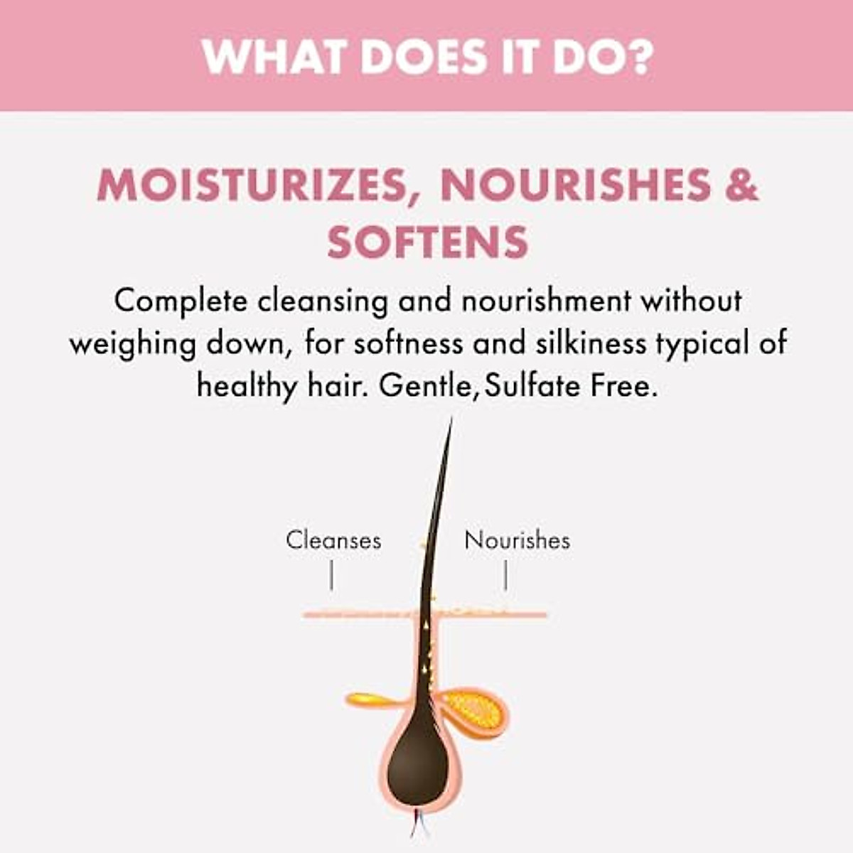 ALFAPARF MILANO Semi Di Lino Moisture Nutritive Low Shampoo - Sulfate Free Shampoo for Color Treated Hair - Moisturizing Hair Shampoo for Dry Hair - Paraben & Paraffin-Free (250 ml / 8.45 Fl. Oz)