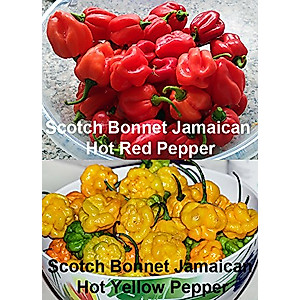 PLEASE READ! THIS IS A MIX!!! 30+ Hot Pepper Mix Seeds, 16 Varieties Heirloom NON-GMO Habanero, Tabasco, Jalapeno, Yellow and Red Scotch Bonnet, Ships from USA! US Grown.
