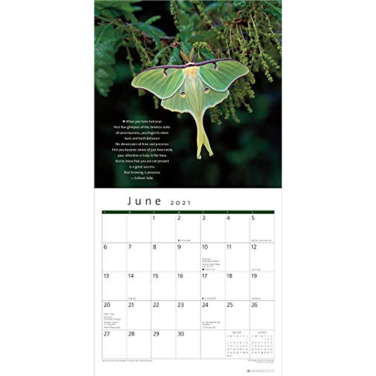 The Power of Now 2021 Wall Calendar: A Year of Inspirational Quotes