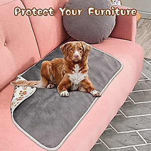 YUEPET Waterproof Dog Blankets, 2 Pack Washable Dog Blankets for Bed Couch Sofa Protector Fleece Flannel Puppy Blanket Soft Plush Reversible Throw Blanket for Small Dog Puppy Cat 30"×20"(White+Coffee)