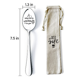 Ptzizi Funny Engraved Stainless Steel Gourmet Spoon, A very Merry Unbirthday to You Coffee Dessert Tea Spoon Gift for Women Silver 1.3x7