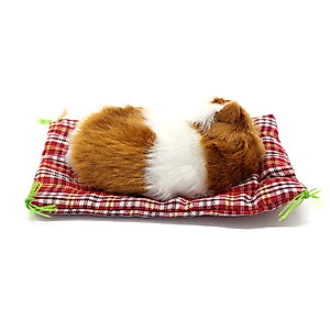 Coolayoung 2Pcs Sleeping Cat on Pad Doll Toy, Cute Mini Kitten on Pad with Meows Sounds Decor Hand Toy Gift for Kids Boys Girls