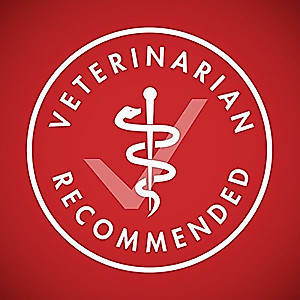 Purina ONE Chicken and Rice Formula Dry Dog Food - 16.5 lb. Bag