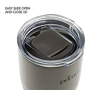 Primula Avalanche Double Walled Vacuum Sealed Thermal Insulated Tumbler Stays Cold or Hot All Day Long, Reusable Thermos, 1 Count (Pack of 1), Brushed Stainless Steel