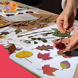 Microfleur 9" (23 cm) Max Microwave Flower Press Kit for pressing flowers and making pressed flowers