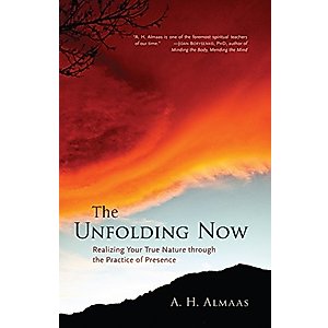 The Unfolding Now: Realizing Your True Nature through the Practice of Presence