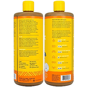 Alaffia Authentic African Black Soap Variety 2-Pack – All-In-One Liquid Soap, Travel-Size Eucalyptus Tea Tree + Full-Size Unscented Body Wash, Face Wash, Shampoo, Shaving Soap