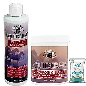 EQUIDERMA (2 Pack) Horse Skin Lotion and Zinc Oxide Paste 16oz with 10ct pet Wipes