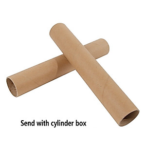 Nice Captain Early Modern Country Flag Poster Historical Flag Prints A3 Size Wall Art Home Decor (Sublime State of Persia)