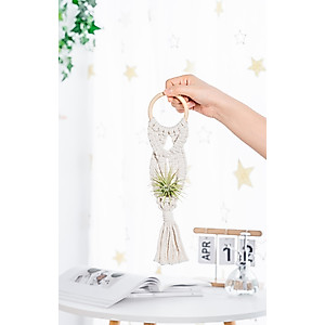 Melphoe 4 Pack Air Plants Holders Air Fern Macrame Plant Hanger Indoor Hanging Planter Basket for Tillandsias Display Air Plant Stand, Boho Home Decoration Gift Idea