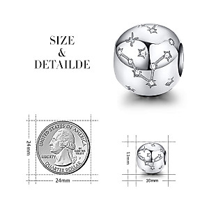FOREVER QUEEN Pisces Zodiac Star Sign 925 Sterling Silver Bead Charm Fits Bracelets 12 Constellations Charm, Womens Jewellery Gift with Box