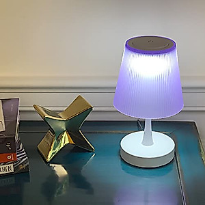 TW Lighting Purple Lamp for Girls Bedrooms - Modern Small Table Lamp for Bedroom, Bedside Nightstand, Nursery, Cute Kids Lamp with USB Charging Port, 3-Level Touch Dimmable Switch