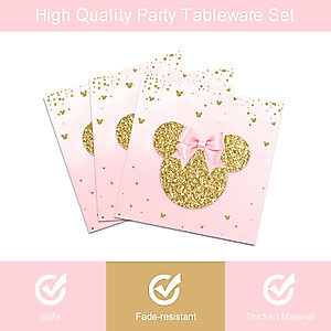 96 PCS Cartoon Mouse 2nd Plates and Napkins Party Supplies Girls Oh Twodles Mouse Happy 2nd Birthday Tableware Set Two Years Old Birthday Dinnerware Party Decorations Serve 24 Guests