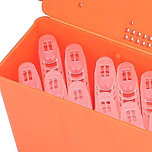 CHICIRIS Bee Cage Easy Carry Plastic Safe Transport King Cage Transport Box for Bee Farm