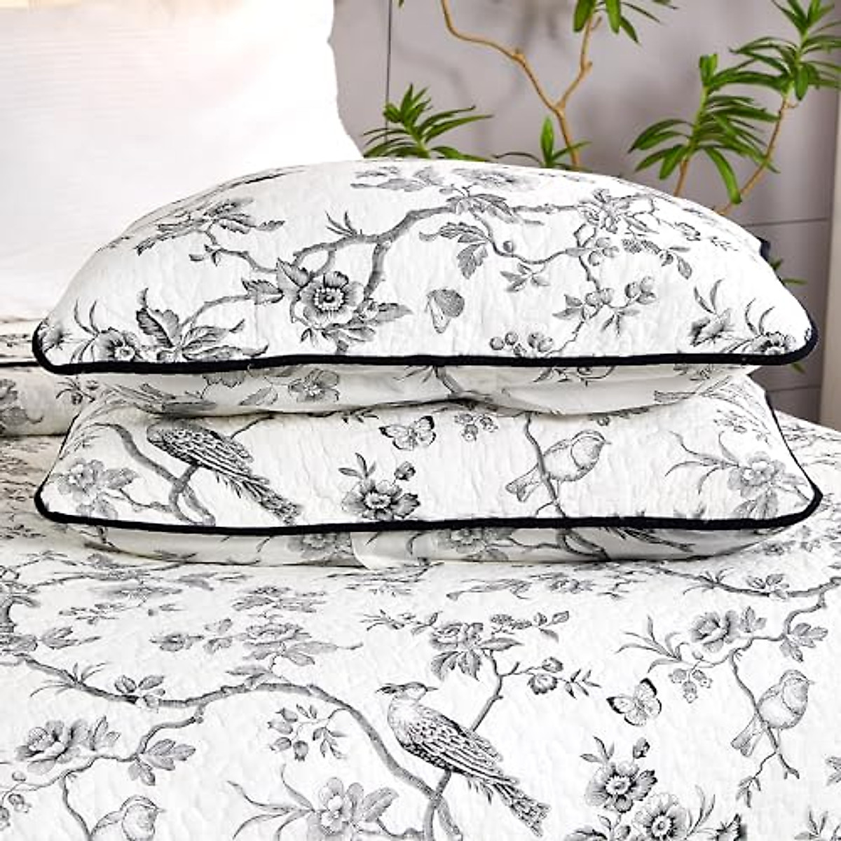 EVENHUG Quilted Pillow Shams Set of 2 Black Bird Pillow Covers Floral Pillowcases Matching Bedding Decoration (20" X 36")
