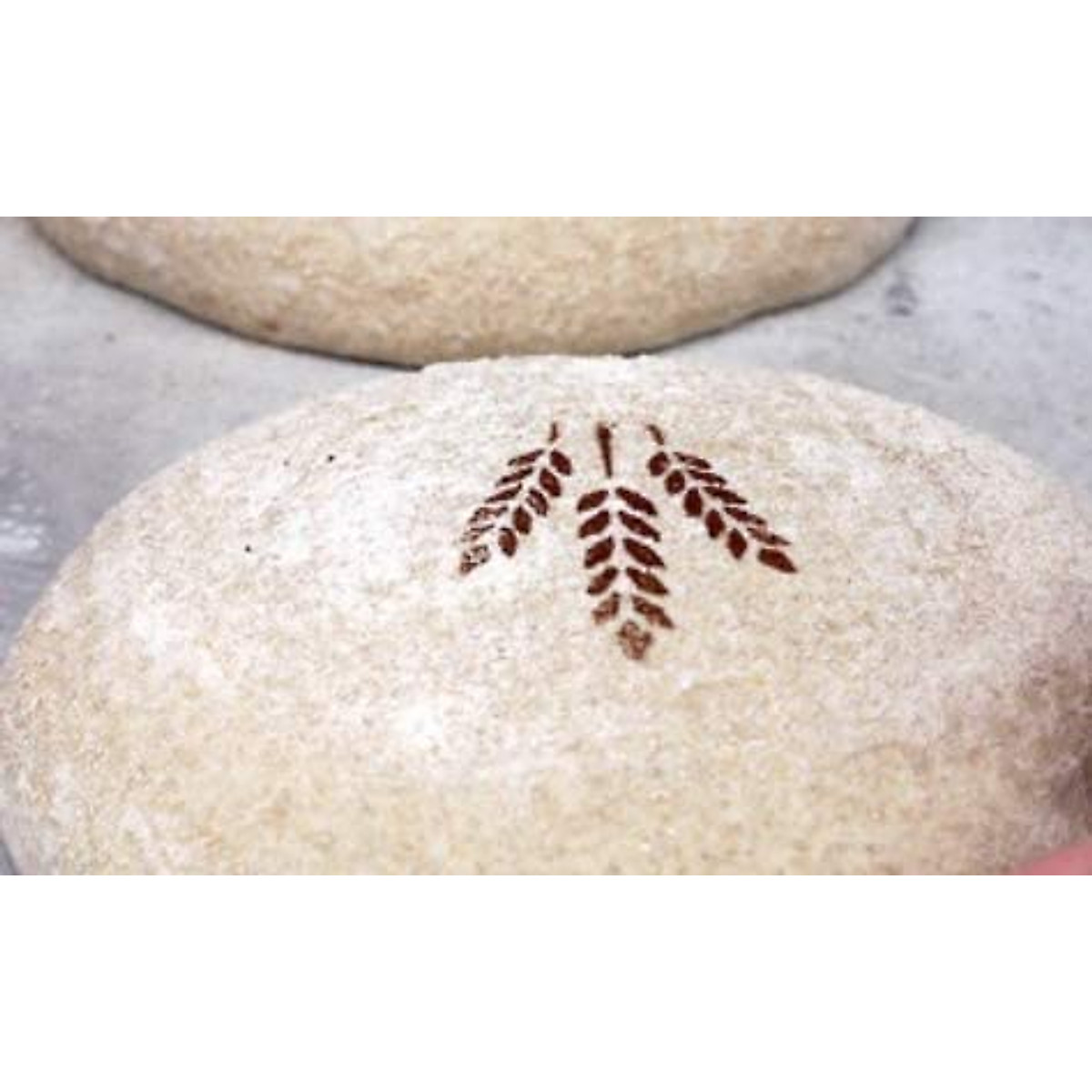 Vie De Pain- Sourdough Bread Baking Kit! Beautiful Sourdough Starter Jar, Sourdough Crock with Thick Artisan Bread Stencils to make the Perfect Sourdough Bread! Premium Quality for Bread Enthusiasts!