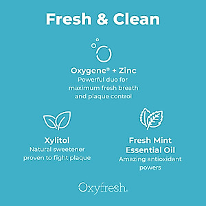 Premium Oxyfresh Pro Formula Fresh Mint Mouthwash – Patented Zinc Mouthwash for All Day Fresh Breath & Healthy Gums – Refreshing & Alcohol Free Mouthwash | 16oz