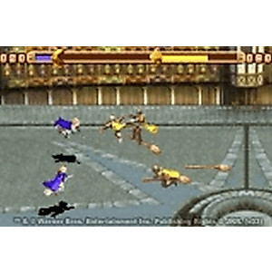 Harry Potter Quidditch World Cup