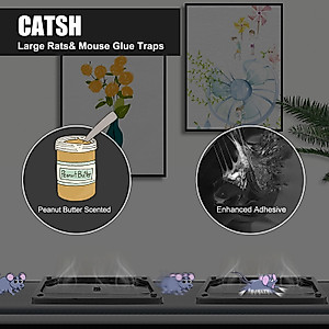 CATSH Rat Mouse Glue Traps Indoor for Home 12 Count - Mice Control Trap Large Size Waterproof Pre-Scented Super Hold Sticky Tray Non-Toxic