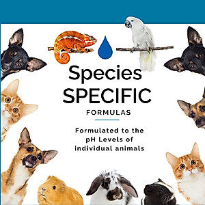 No Scent Anal Gland Express & Skunk Spray Pet Fur Cleaner for Dogs & Cats (2 Fl Oz / 59 mL)