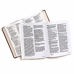 What Love Is - Bible Study Book: The Letters of 1, 2, 3 John (The Living Room Series)