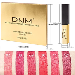 evpct DNM 6Pcs Dark Ruby Red Mauve Plum Purple Nude Beige Matte 24 Hour Lipstick Set for Women Waterproof Long Lasting 24 Hours Lipstick
