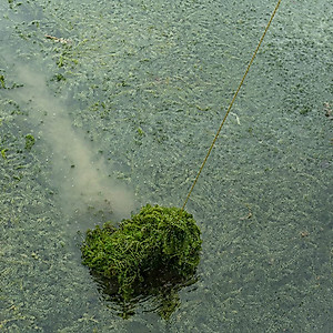 YO-yiHHG Aquatic Weed Cutter, Stainless Steel Collapsible Multipurpose Aquatic Plants Grass Cutter with 15m of Rope for Lakes, Ponds & Beaches