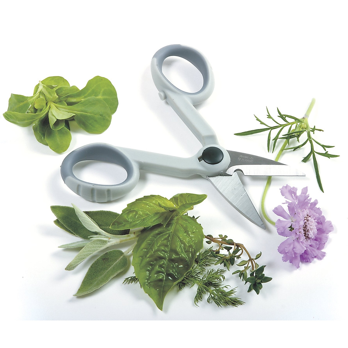 Norpro My Favorite Scissors (1536)
