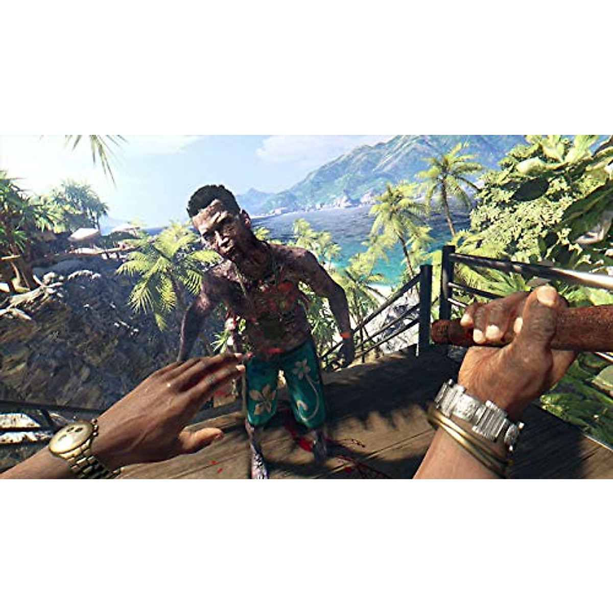 Dead Island Definitive Edition Collection (PS4)