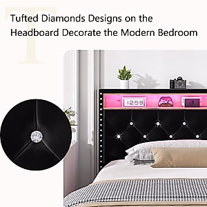 HOMBCK Queen Size Bed Frame with Led Lights, Storage Shelf Headboard, Black Velvet Upholstered, No Box Spring Needed, Noise-Free