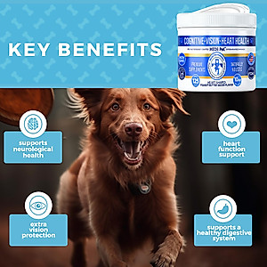 MEDii Pet Dog Vitamin Supplements & Health Booster: Metabolism, Cardiac, Eyes, & Helps Prevent Dog Dementia– Includes Spirulina, Vitamin B1, B3, & B12, Non-GMO, 125 ct/10 oz. Best Value