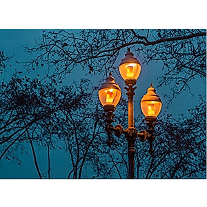 MINTSSOUL LED Flame Effect Fire E26 Light Bulbs,Creative with Flickering Emulation Lamps,Simulated Nature Fire in Antique Lantern Atmosphere for Holiday Hotel/Bars/Home Decoration Restaurants