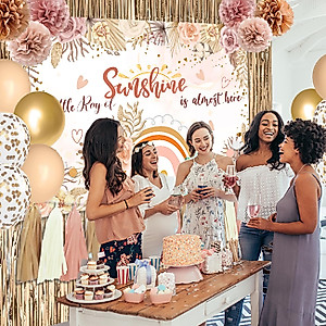 Boho Baby Shower Decorations for Girl A Little Ray of Sunshine Daisy Boho Backdrop Blush Pink Balloons Dusty Rose Paper PomPoms Champagne Fringe Curtain for Boho Rainbow Birthday Baby Shower Decor