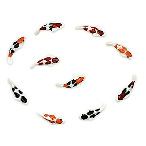 Buy Easy 10 Mix Colorful Koi Fish Fairy Garden Animal Dollhouse Miniature Docoration