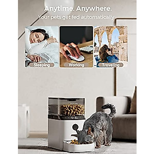 PETVIAGA Automatic Cat Feeders with Timer, 5L Timed Dog Food Dispenser with Desiccant Bag & Stainless Steel Bowl, Auto Pet Feeder for Dry Food with 1-6 Feeding Meals, Portions Control & 10s Recording