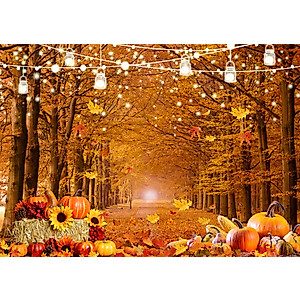 LTLYH 7x5ft Fall Forest Backdrop Autumn Thanksgiving Backdrop Maple Forest Leaves Friendsgiving Party Banner Backdrop Supplies Farm Harvest Event Photo Backdrop 185